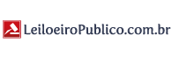 Leiloeiro Público
